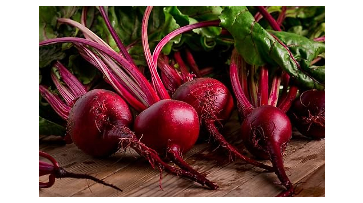 Beet Seeds for Planting - Non-GMO Heirloom Seed Packets with ...