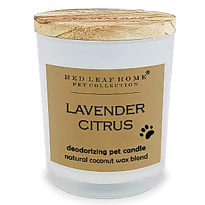 Red Leaf Home | Lavender Citrus Pet Deodorizing Jar Candle | Large | Gift, Perfect for Dog & Cat Owners | Contains DeoBoost | 15.5oz