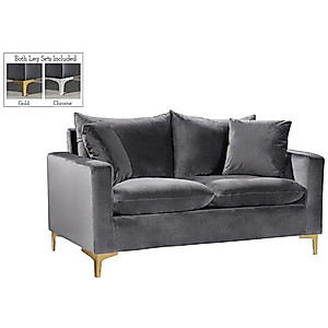 Meridian Furniture Naomi Collection Modern | Contemporary Grey Velvet Upholstered Loveseat with Stainless Steel Base in a Rich Gold or Chrome Finish, 633Grey-L