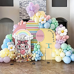 Pastel Balloon Arch Kit Pastel Party Decorations With Daisy Balloons,Pastel Balloons And Pastel Long Balloons Rainbow Balloons Arch Kit Baby Shower Balloon Arch For Birthday Gender Reveal Decoration