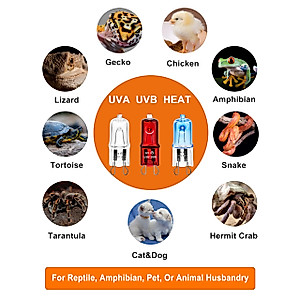 C-Raptile G9 Bulb 25W 120V 2 Pin 3 Pack Base Light Bulb Replacement Dimmable Warm Red