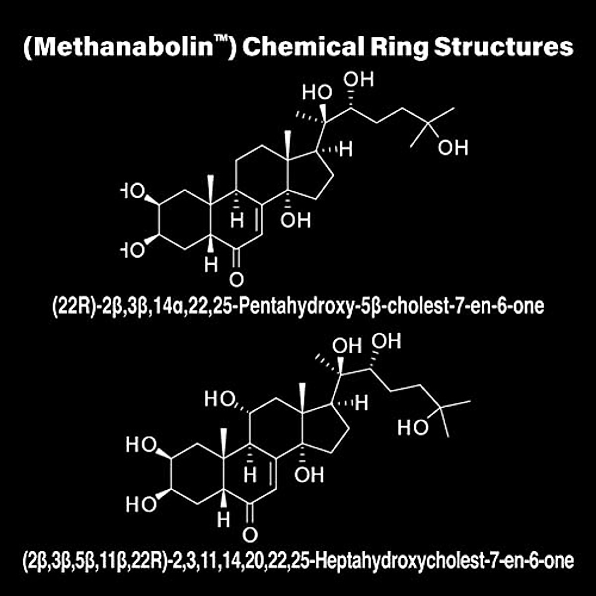 Avry Labs Mass Stack Anabolic Supplement Bundle, M1-BOL and 17-BOL Support Hardening, Cutting, Vascularity, Muscle Growth, Strength, and Mass, 1 Month Supply