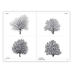 The Architecture of Trees