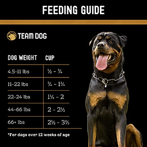 Team Dog Elite Blend Salmon Dog Food with Herring & Lentils | High Protein Dog Food for Sensitive Stomachs & Skin | Chicken Free, Gluten Free, GMO Free, No Corn, Wheat or Soy (15 lb Dry Dog Food)
