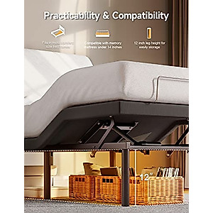 Koorlian Adjustable Bed Frame Twin, Small Adjustable Bed Base with Remote, Head and Foot Incline, USB Charging, Underbed Lighting, Electric Adjustable Beds with 12 inch Legs