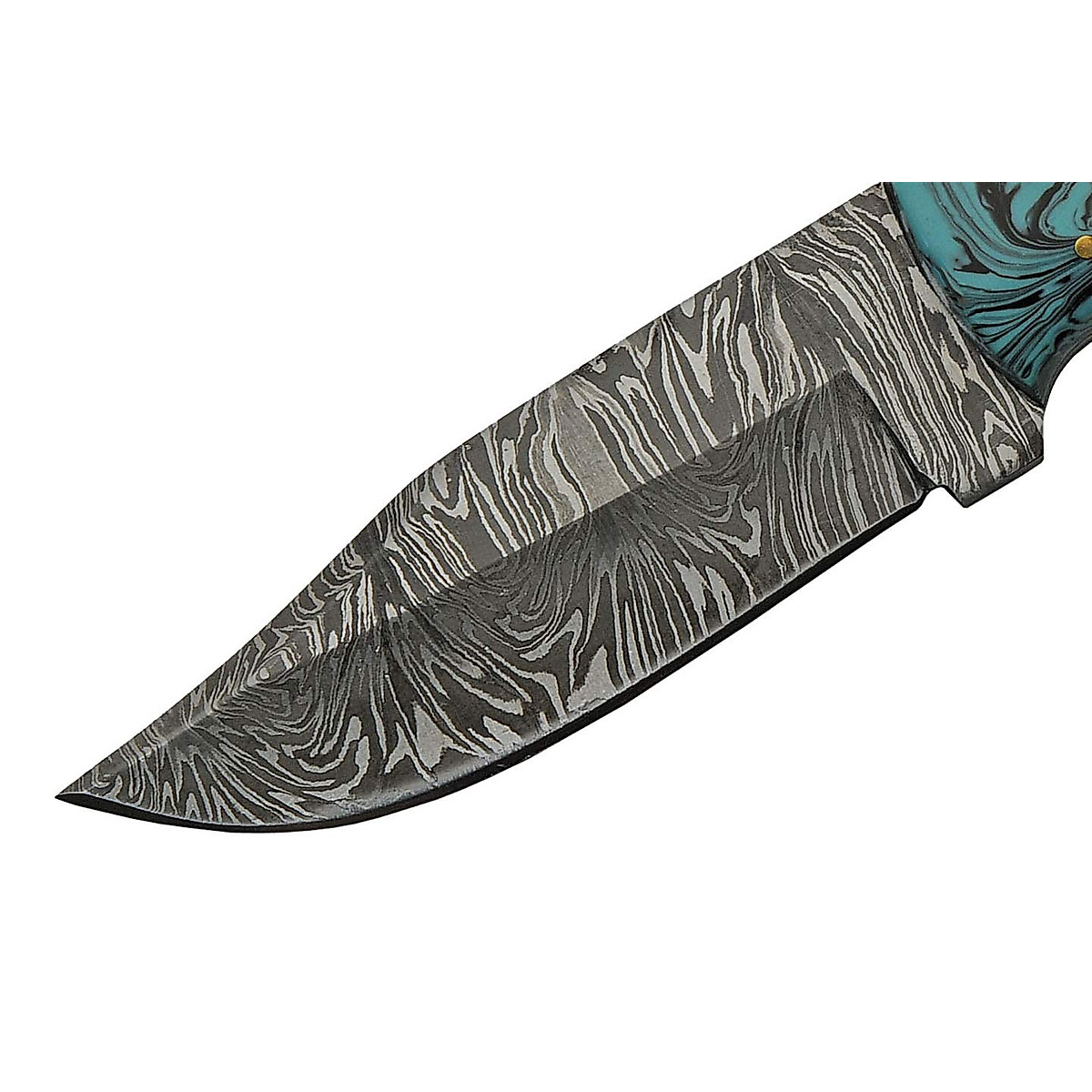 Szco Supplies 8.25" Ram Horn Handle Damascus Steel Turquoise Hunting Knife with Leather Sheath