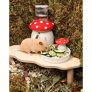 Niteangel Hamster Snack & Treats Toy - Small Animal Natural Treat for Dwarf Syrian Robo Hamsters Gerbils Mice Lemmings Degus or Other Small-Sized Pets (Freeze-Dried Cucumbers)