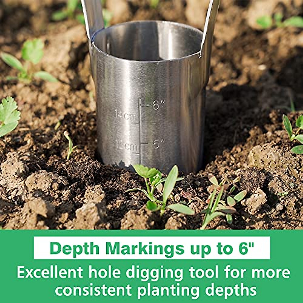 Berry&Bird Garden Bulb Planter with 6 inches Depth Mark, Garden Bulb Transplanter Tool with Woode Handle, Stainless Steel Soil Release Tool for Transplanting Digging Planting Flowers