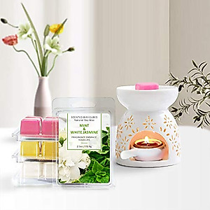 SCENTORINI Scented Wax Melts, Wax Cubes, Scented Soy Wax Melts, 8x2.5 oz, Pumpkin, Apple & Cinnamon, Winter Cedarwood, Mint & White Jasmine, Coconut & Vanilla, Black Pomegranate, Mediterranean Fig