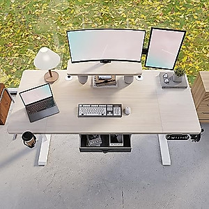 BUNOEM Height Adjustable Electric Standing Desk with One Drawer, Table with Storage Shelf, Sit & Stand Home Office Desk with Storage Space (Oak, 63x30)