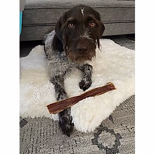 Beef Esophagus Dog Treats (6 INCHES - 25 Count) Grass Fed with No Added Hormone, All Natural Jerky Dog Treats - Dog Chews Rich in Glucosamine & Chondroitin for Joint Health