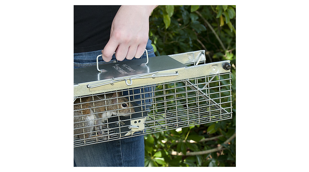 Havahart 1025 Small 2-Door Humane Animal Trap - Safe & Effective