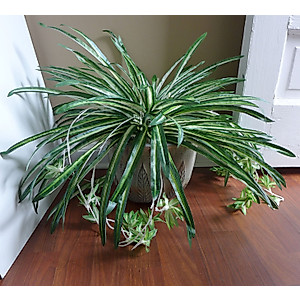 CHSGJY 2 Chlorophytum Grass Vine Artificial Flower Bush Spider Hanging Home Garden Decor