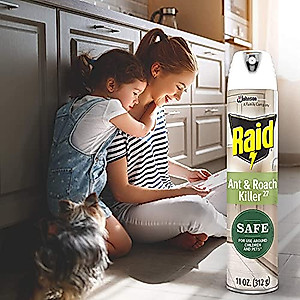 Raid Ant and Roach Killer, Aerosol Spray with Essential Oils 11 Ounce (Pack of 6)