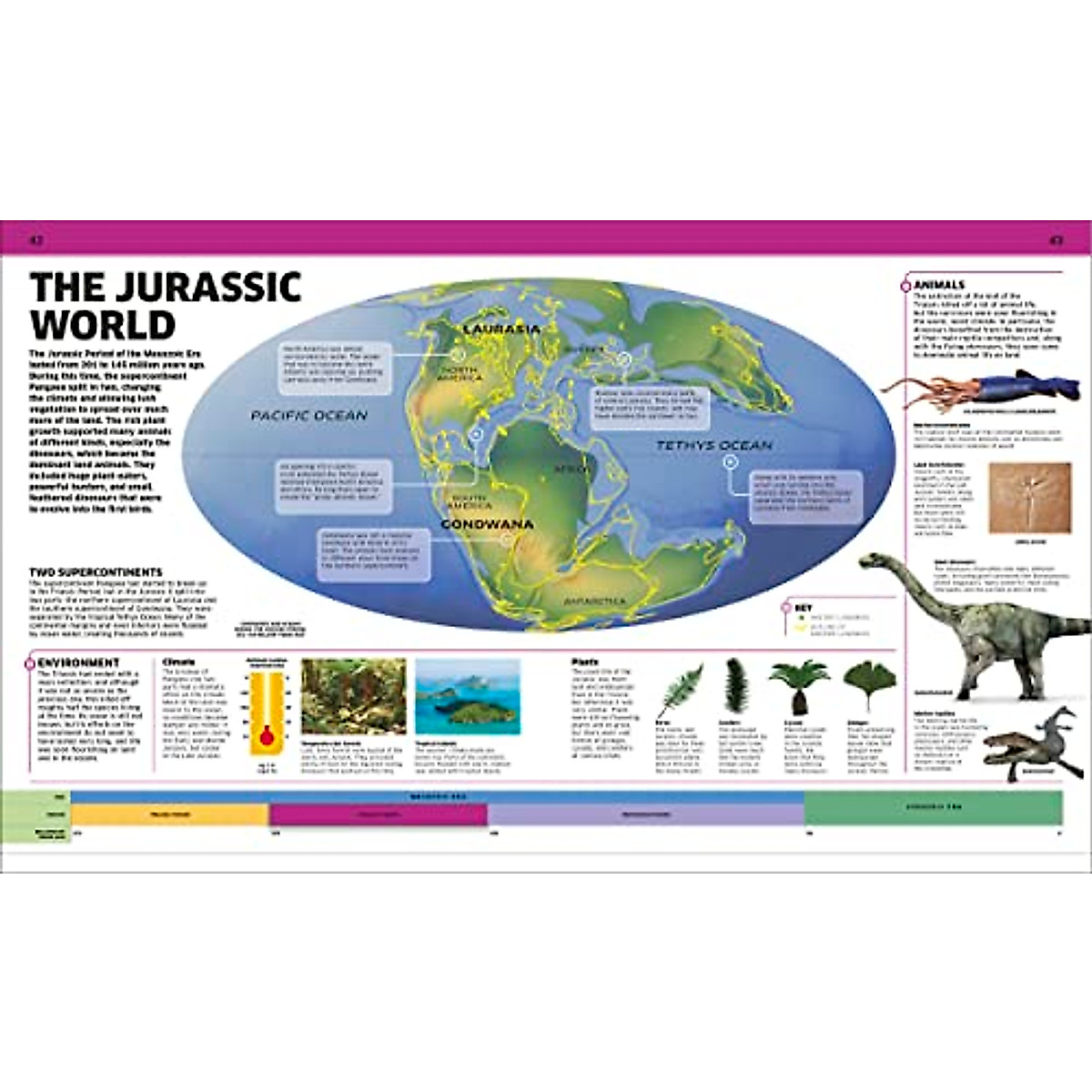 Knowledge Encyclopedia Dinosaur!: Over 60 Prehistoric Creatures as You've Never Seen Them Before (DK Knowledge Encyclopedias)