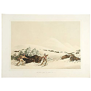 Buffalo Hunt on Snow Shoes