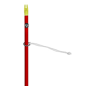 Cajun Bowfishing Slide Rings 10-Pack - Enhanced Penetration for Deep Water Fishing, Added Strength for Large Fish, Premium Stainless Steel Construction, Saltwater Approved , Easy Installation