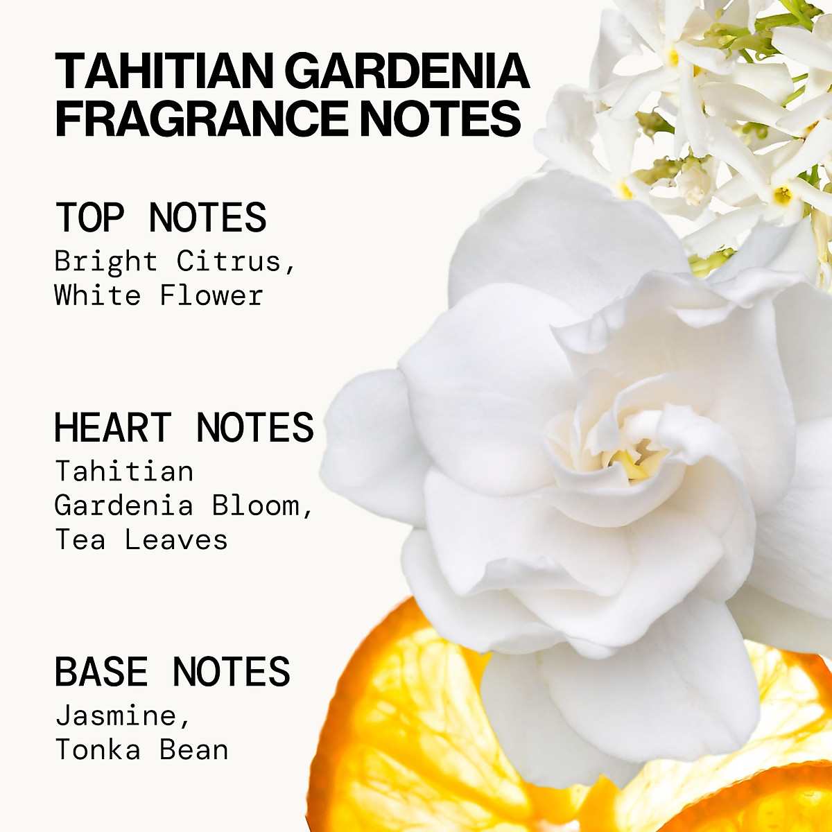 Pacifica Beauty, Wanderlust Spray Perfume Trial Set, Featuring Island Vanilla Mini, 5 Scents, Fragrance Sampler Gift Set, Natural + Essential Oils, Clean, Vegan + Cruelty Free