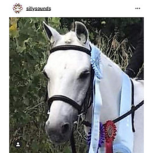 Silly Sounds Horse Earplugs (Black) 4pk