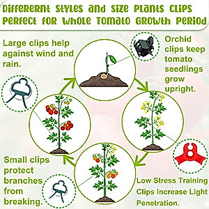 RSZBUMY 80pcs Mixed Plant Clips Variety for Tomato, Climbing Plants Support, Garden Clips for Tomato ect, Plant Training Clips, Orchid Clips