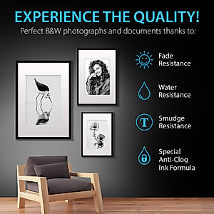 Smart Ink Compatible Ink Cartridge Replacement for Canon PGI-280XXL 280 XXL PGI280 to use with TR8520 TS9120 TS6120 TR7520 TS6220 TS6320 TS8220 TS8120 TS8320 TS702 (2 PGBK, Pigment Black Pack Combo)