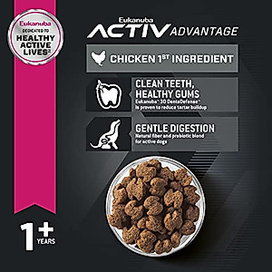 Eukanuba Adult Large Breed Dry Dog Food, 30 lb