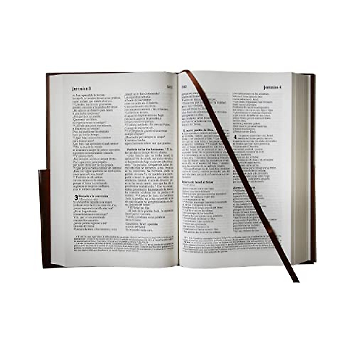 La Biblia Católica: Edición letra grande. Tapa dura, marrón, con Virgen de Guada lupe en cubierta / Catholic Bible. Hard Cover, brown, with Virgen