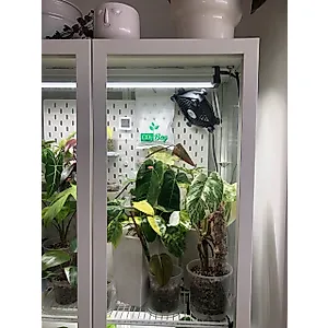 CO2 BAG -CO2 for indoor growing. Small, effective and affordable