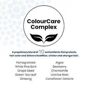 ALOXXI Reparative Hair Repair Shampoo for Damaged Hair with ColourCare Complex & Advance Recovery Technology - Cleanses Damaged & Over-processed Hair, 33.8 Fl Oz