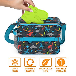 Bentgo® Buddies Reusable Slim Ice Packs for Lunch Boxes, Lunch Bags, and Coolers - Multicolored 4-Pack (Dinosaur)