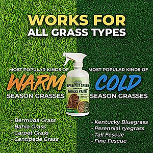 PetraMax Green Grass Paint for Lawn, Ready-To-Use Green Grass Lawn Spray & Dog Spot Repair, Lawn Paint, Spray on Grass, Green Lawn Spray, Green Grass Spray Paint for Lawn Yellow & Urine Spots - 32 oz