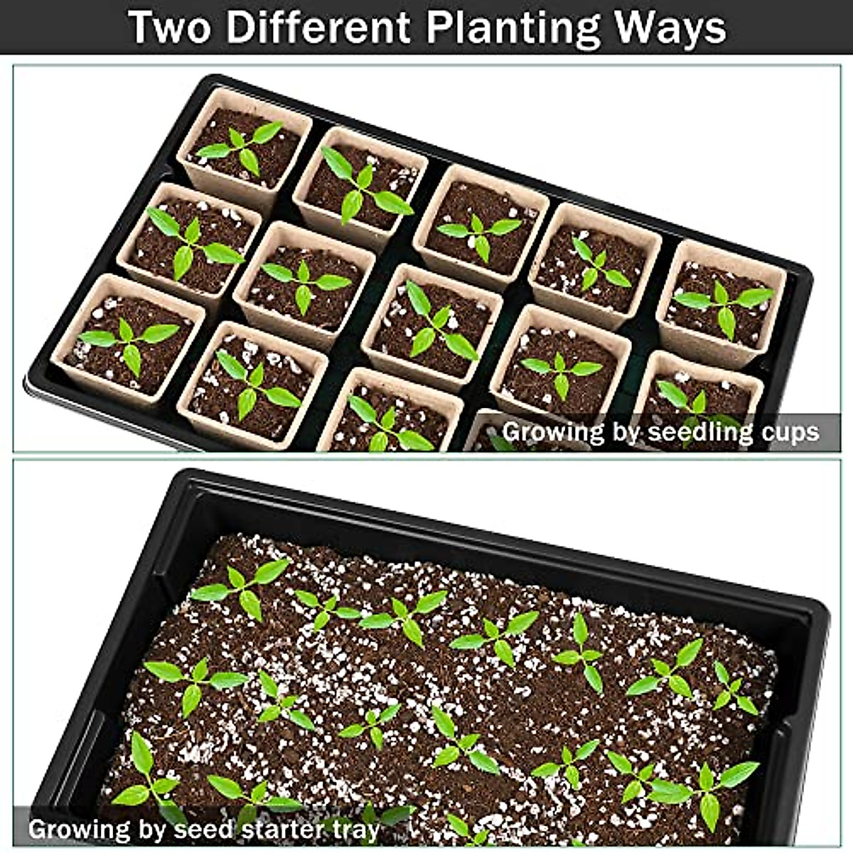 Hahood 6 Pack Seed Starter Tray Kit with 120 Square Peat Pots for Seedlings, Including Plants Labels, Planting Tools, Growing Trays Plastic Germination Tray Paper Starter Pods for Plant Seeds, Black