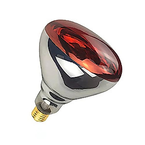 BONGBADA 2 Pack 250W Heat Lamp Red Infrared Bulbs Glass Lamp Bulb for Food Service, Brooder Bulb, Chicks, Pet, Bathroom, Light Therapy Use E26 Base, Flood Light Heat Lamp Bulb.