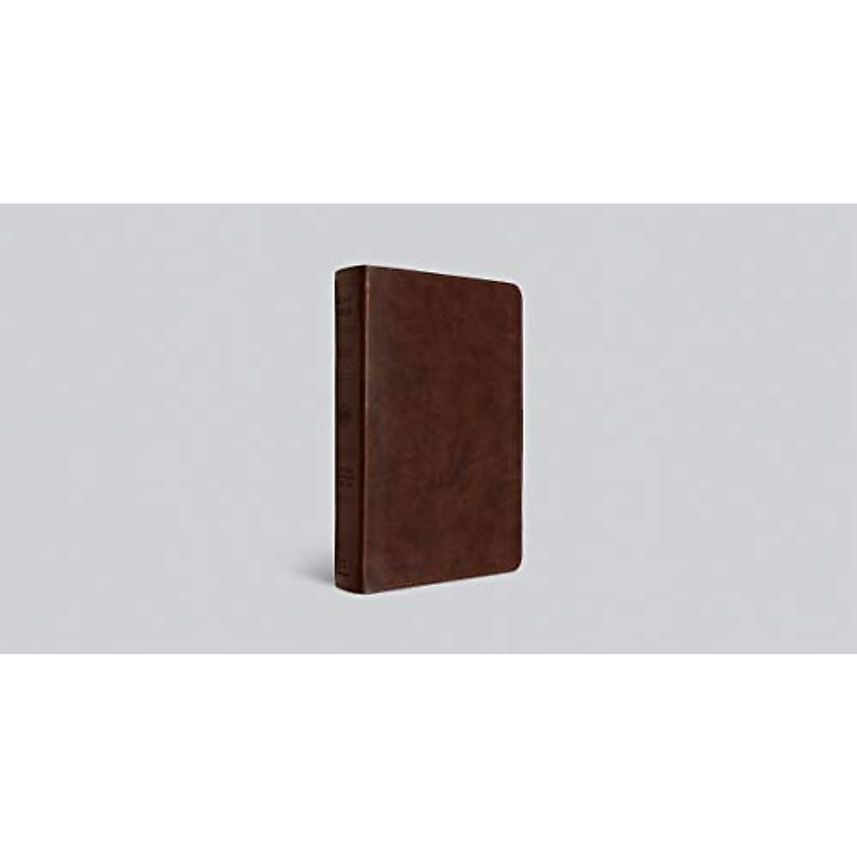 ESV Large Print Personal Size Bible (TruTone, Chestnut)