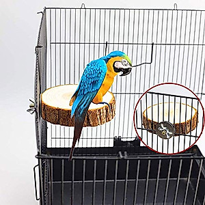 SHINYLYL 8 Packs Bird Toy,Bird Parrot Swing Chewing Toys Birdcage Stands,Wood Hanging Bell Bird Cage Toys for Parrots, Parakeets, Cockatiels, Conures, Macaws, Love Birds, Finches