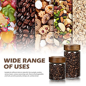 piconesper 2PCS Small Glass Storage Jars with Airtight Lids, 19.3 fl oz (560ml) coffee container with Wooden Lid, Glass Pantry Canister for Beans, Rice, Sugar and etc (2PCS, 560ML)