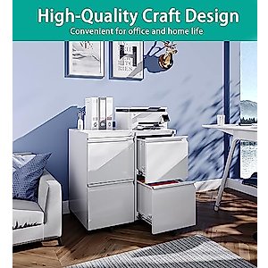 SISESOL 2 Drawer File Cabinet with Lock, Under Desk Metal Filing Cabinet for Home Office,Lockable Rolling File Cabinet with 2 Keys for Legal/Letter/a4 Size