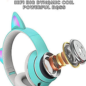 VIGROS Cat Ear Gaming Headphones Wired AUX 3.5mm LED Light, Noise Canceling Game Headphones Stereo Foldable Over-Ear Headsets with Microphone Fit Girls, Kids for PC, PS4, Switch, Xbox, Mobile, Laptop