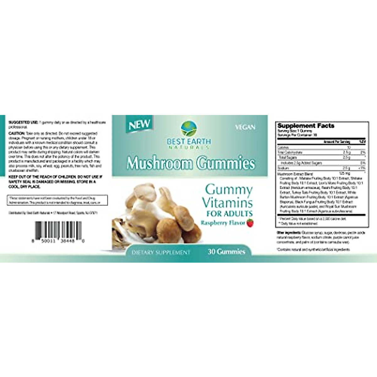 Best Earth Naturals Mushroom Gummy Vitamins Raspberry Flavor with Lion's Mane, Reishi, Cordyceps, Chaga, Maitake, Shiitake and More, 30 Count