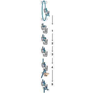 Nite Ize Figure 9 Large - Black Single Pack