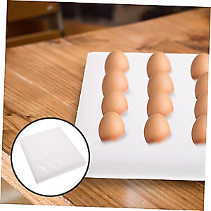 DOITOOL 2pcs Rutin Egg Protection egg holder refrigerator egg organizer egg protective tray portable egg tray eggs organizer reusable egg container egg foam trays the bird pearl cotton