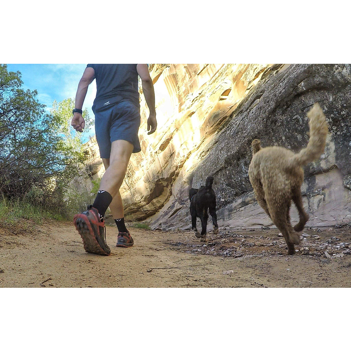 Swiftwick- ASPIRE FOUR (3 Pairs) Cycling & Trail Socks, Breathable, Compression Fit (Black, Large)