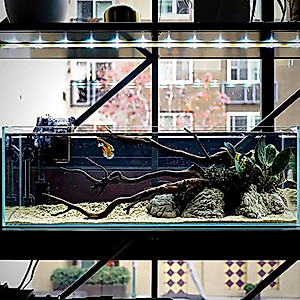 Ultum Nature Systems Ultra Clear Low Iron Rimless Glass Aquarium 60L