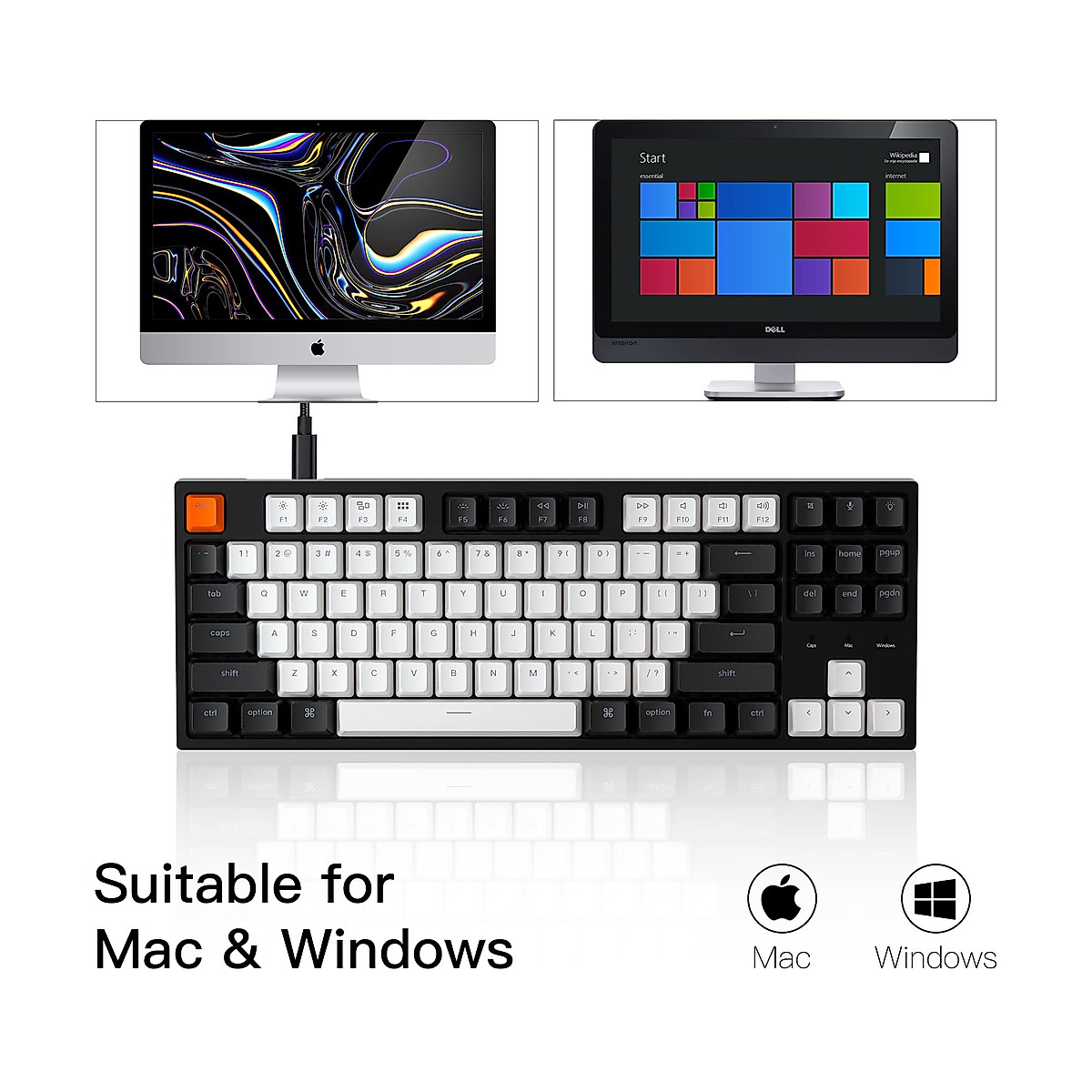 Keychron C1 Hot-swappable Wired Mechanical Keyboard with Gateron G Pro Blue Switch/Double-Shot ABS Keycaps/White Backlight/USB Type-C Cable, Tenkeyless 87 Keys Computer Keyboard for Mac Windows PC