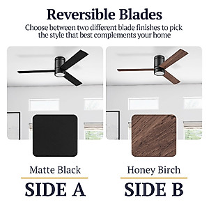 Prominence Home 51464-01 Espy Ceiling Fan, 52, Matte Black