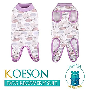 KOESON Dog Recovery Suit, Surgery Recovery Suit for Female Dogs Spayed Dog Cone Alternative After Surgery, Dog Post Surgery Suit Anti Licking & Biting Surgical Shirt with Pee Hole Rabbit XL