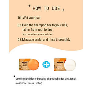 SAPHUS Argan Oil Shampoo Bar for Strengthening, Cleansing & Moisturizing Dry & Curly Hair,Travel Size, Zero Waste