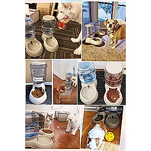 Pet Feeding Solution Automatic Cat & Dog Cafe Feeder and Water Dispenser in Set with Food Scoop - Ito Rocky 6-Meal Automatic Food Dispenser for Small/Middle Puppy and Kitten