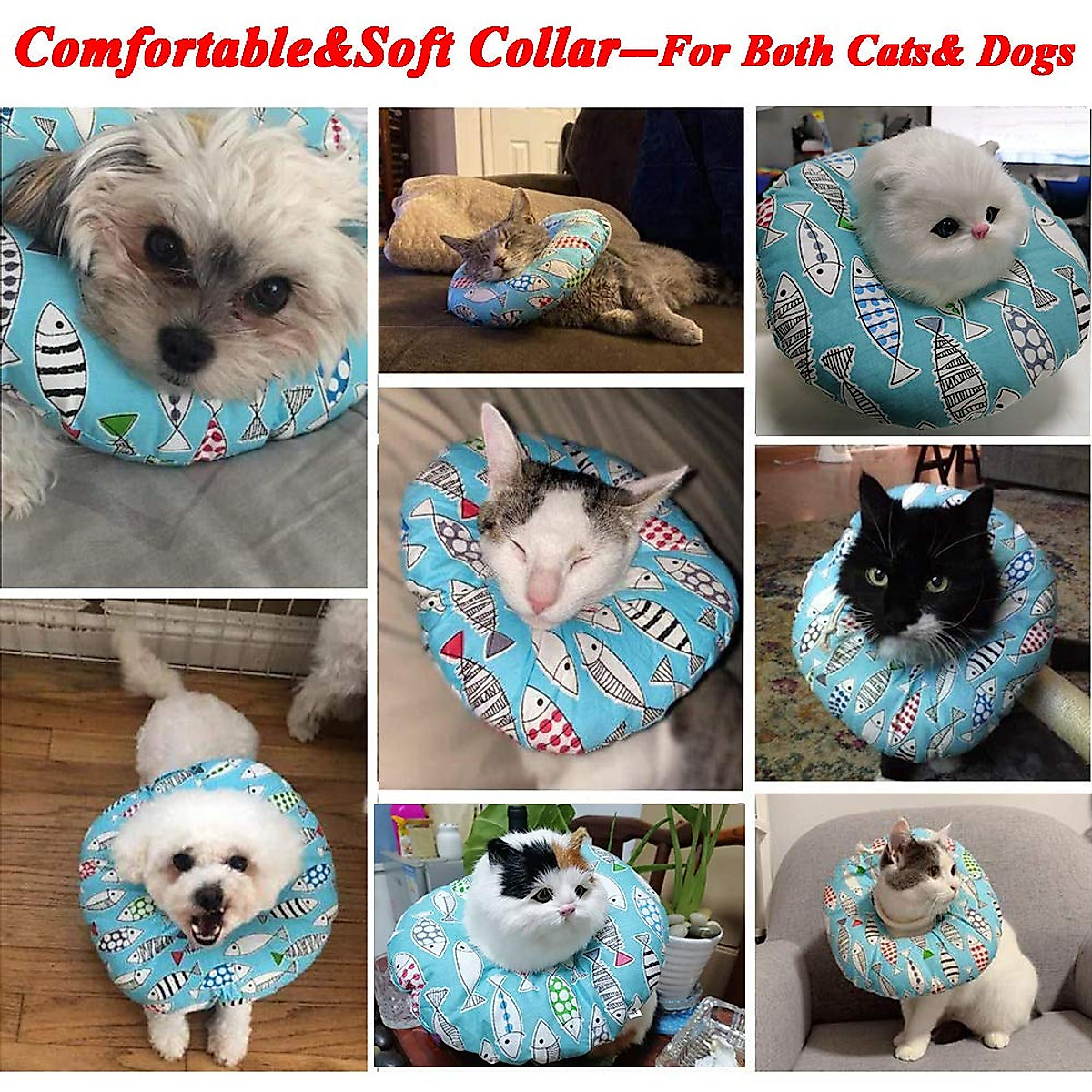 Andyrex Cat Recovery Collar Soft Adjustable - Cute Neck Cone After Surgery for Head Wound Healing Protective Cone After Surgery Elizabethan Collars for Cat and Puppy (Medium)