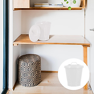 balacoo Mini Desktop Trash Can with Lid - Small Iron Countertop Wastebasket, Small Garbage Can for Bedroom Living Room Dressing Table Desktop (White)
